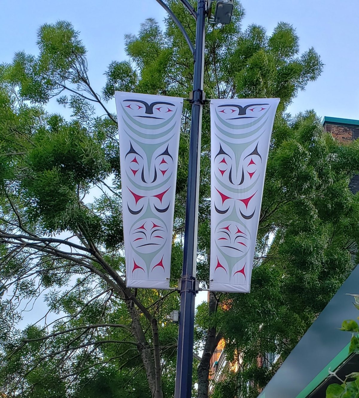 Banners showcase First Nation stories in Downtown Victoria | North ...