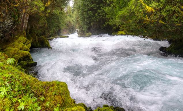 River Forecast Centre placed North Shore under Flood Watch | North ...