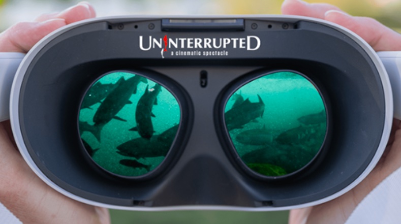 Watch virtual reality salmon migration at the Shipyards | North Shore ...
