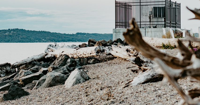 West Van to Province: Investigate log debris in Howe Sound, Strait of ...