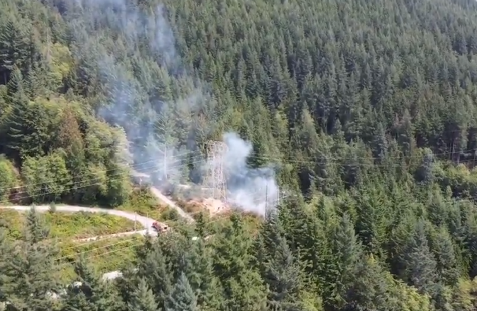 New Wildfire in North Vancouver Stamped Out by DNV Crews