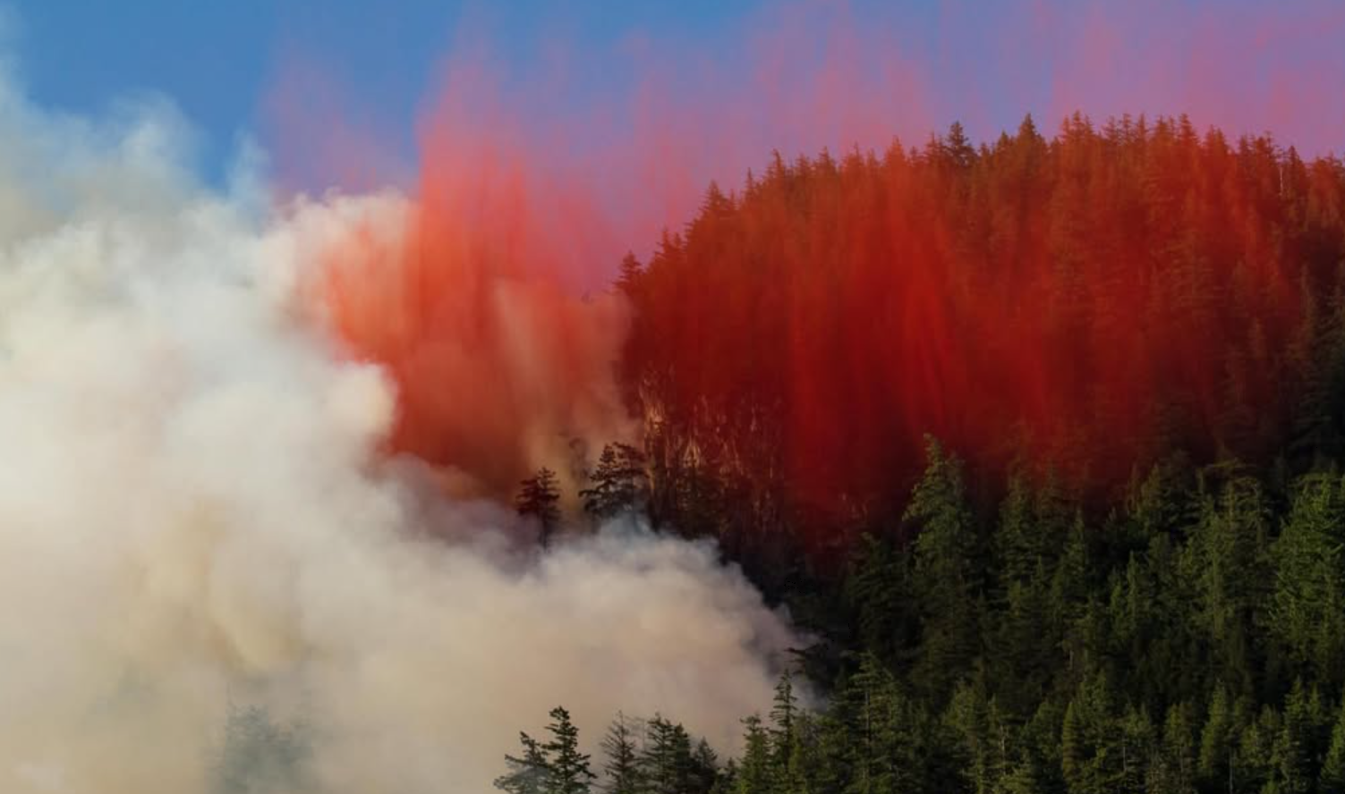 Squamish Wildfire Prompts Trail Closures, Evacuation Alerts