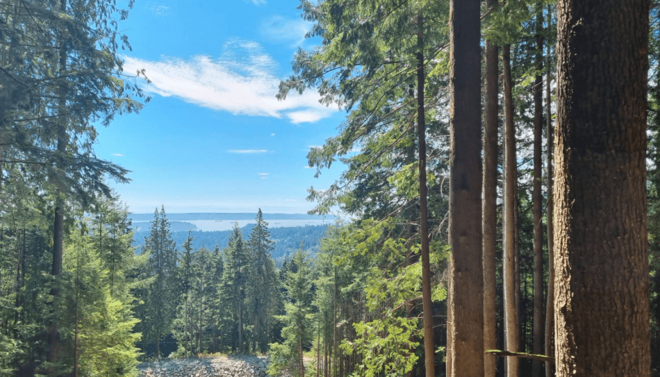 Grouse Grind Trail Reopens for 2026 Season